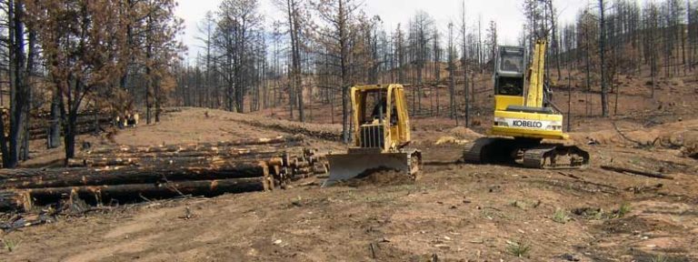 Tilling & Scarification | Colorado State Forest Service | Colorado ...