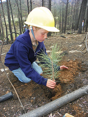 Agency Profile | Colorado State Forest Service | Colorado State University