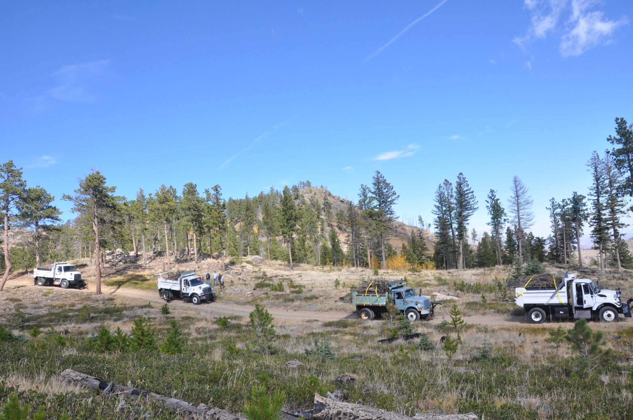 Colorado State Forest Service - Colorado State Forest Service