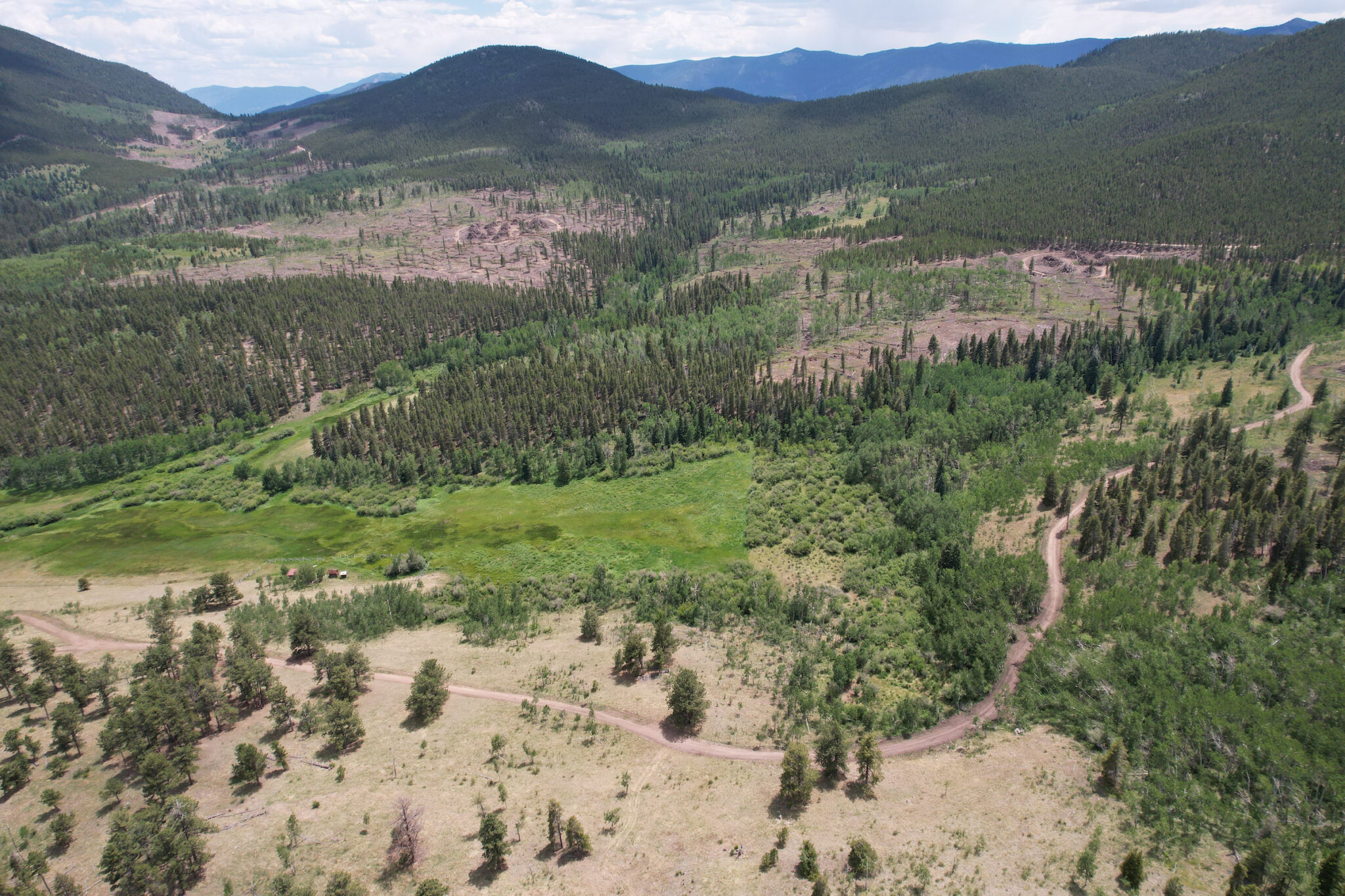 Promoting Resilient Forests in Colorado | Colorado State Forest Service ...