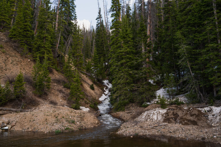 Colorado State Forest Service | Colorado State University