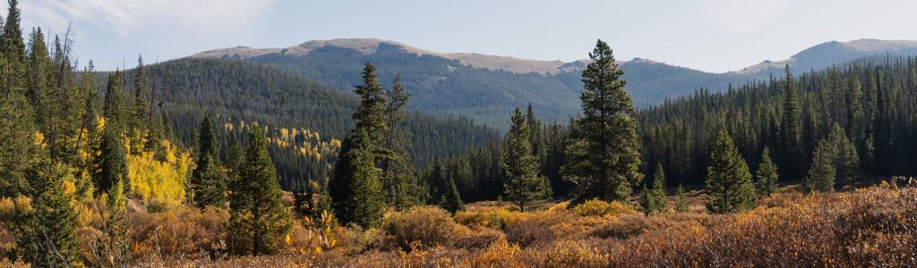 Data & Tools | Colorado State Forest Service | Colorado State University
