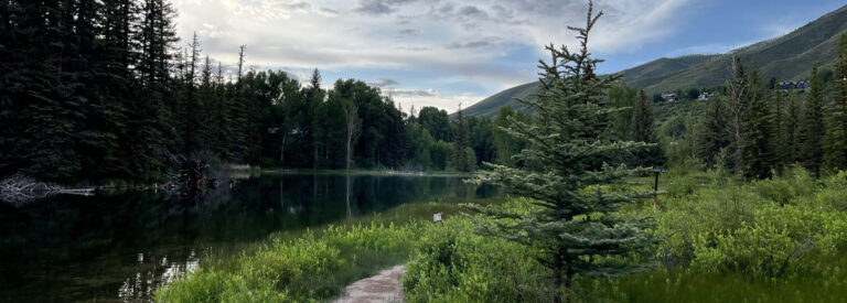 Forests and Trees | Colorado State Forest Service | Colorado State ...